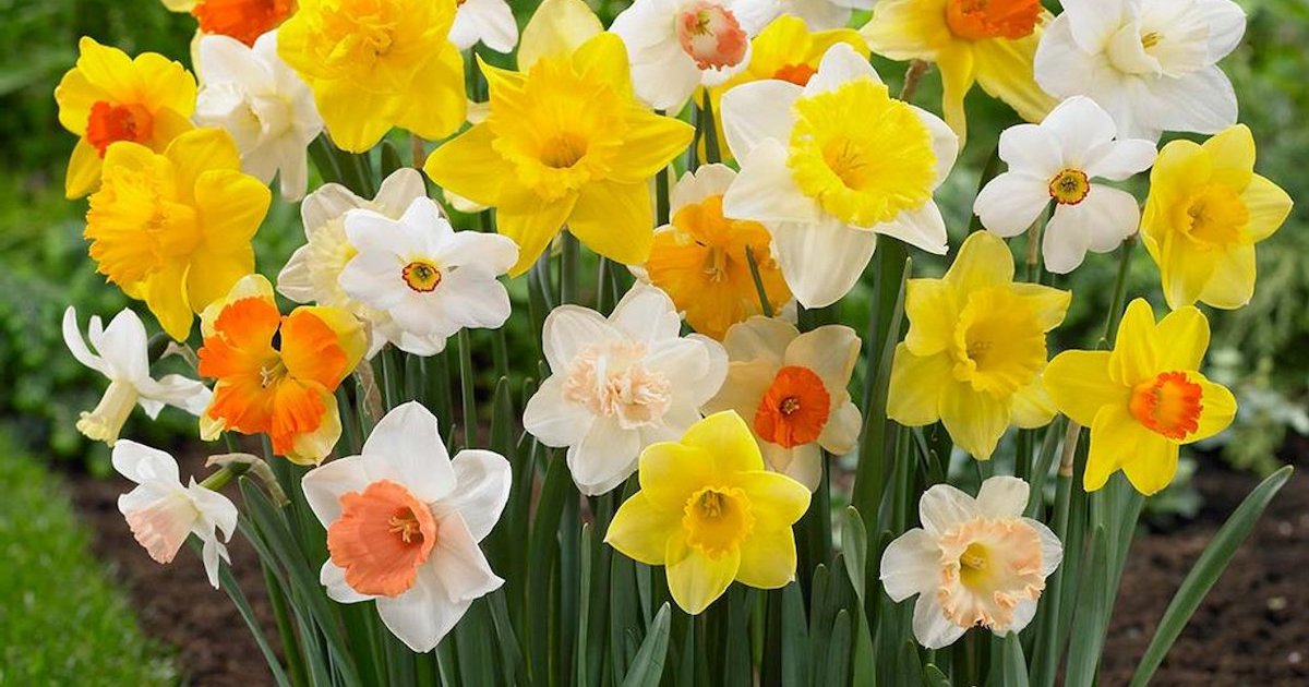 Find the Hidden Capitals Quiz - By blairjaxon