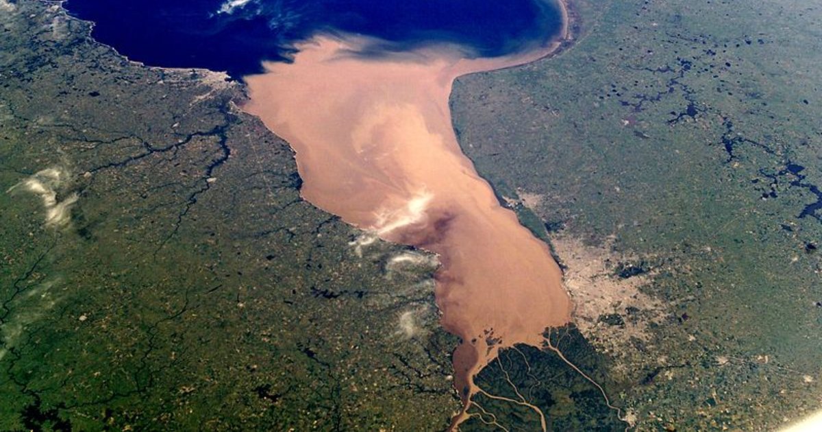 Gramograms by Definition IV Quiz - By kongikun30