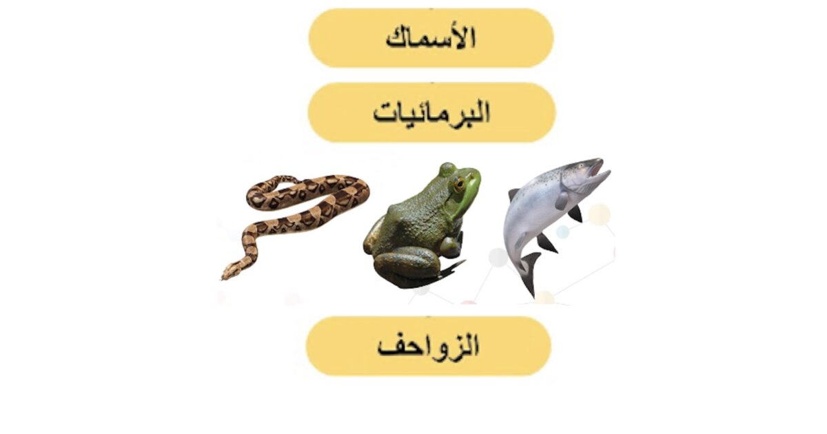 Thematic Standard Arabic Vocabulary III: Herptiles/Fish Quiz - By elroy