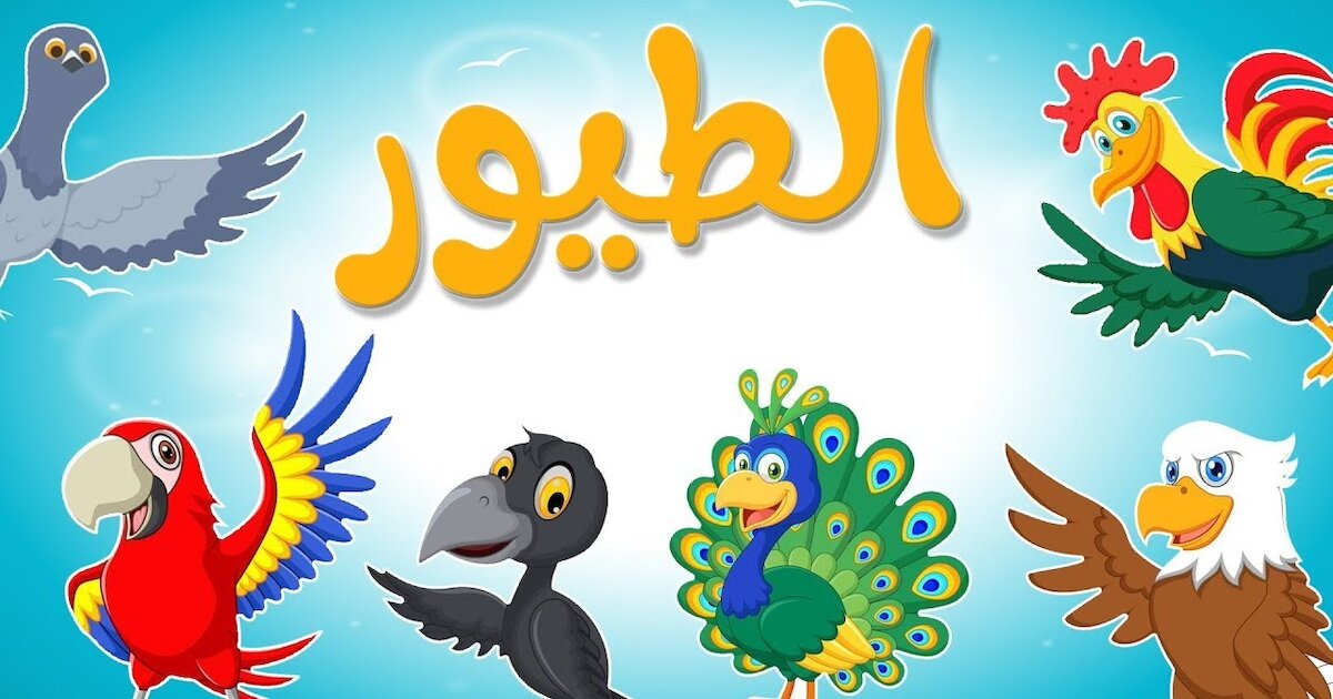 Thematic Standard Arabic Vocabulary II: Birds Quiz - By elroy