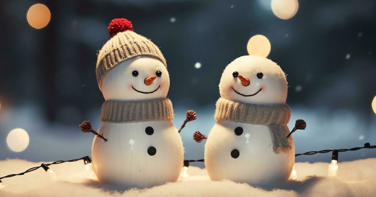 Snowman Logic Puzzle Quiz - By Party555