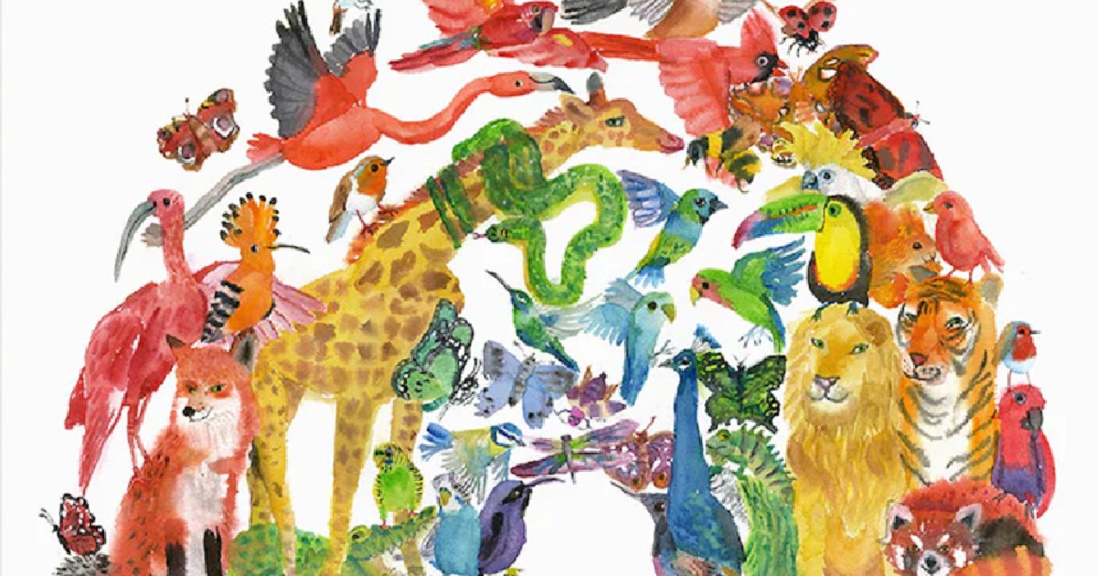 Word Ladder: Animals Galore Quiz - By cassie_ann