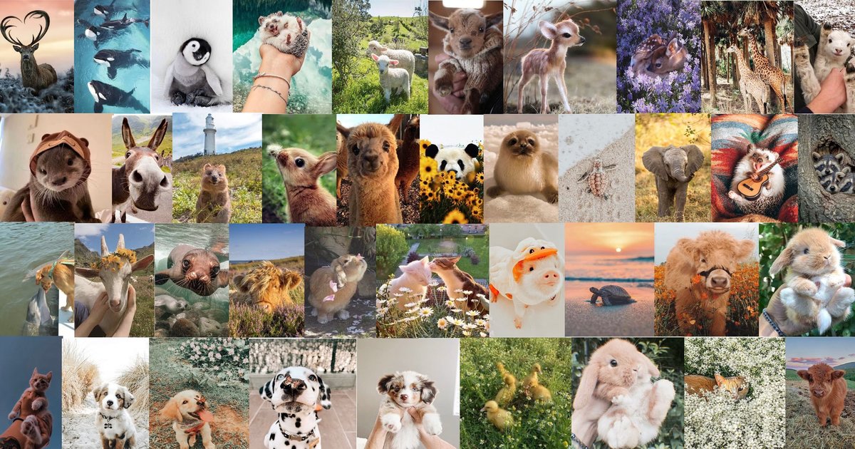 Animals by Movie Title (17) Quiz - By disney4evr