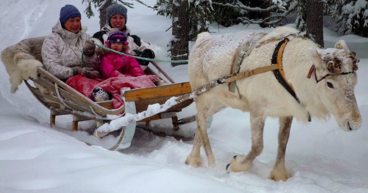 Santa's Reindeer in Order Quiz - By spanachan