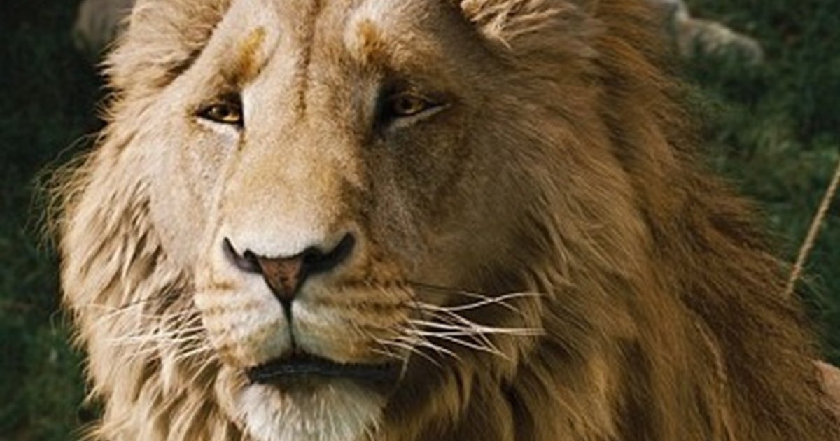 Narnia: Put the series in order (by publication) Quiz - By Udo