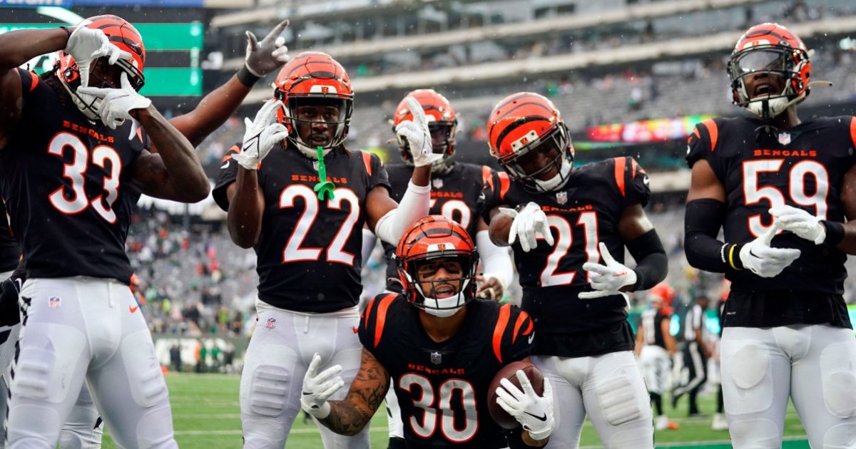 What College Did These Cincinnati Bengals Attend? Quiz - By jrobin5377