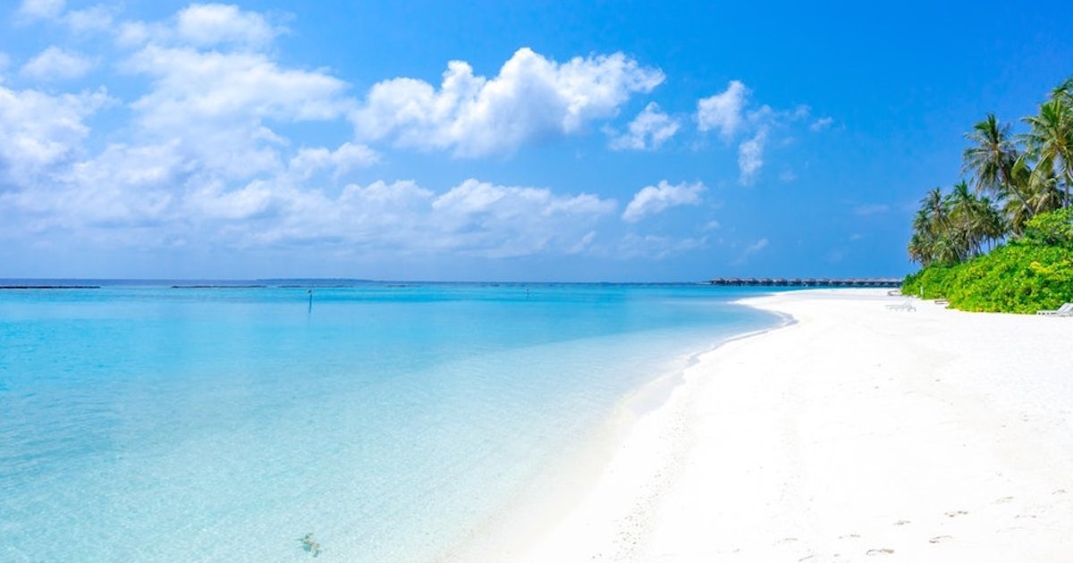 All About: FIJI Quiz - By lightmyfire77