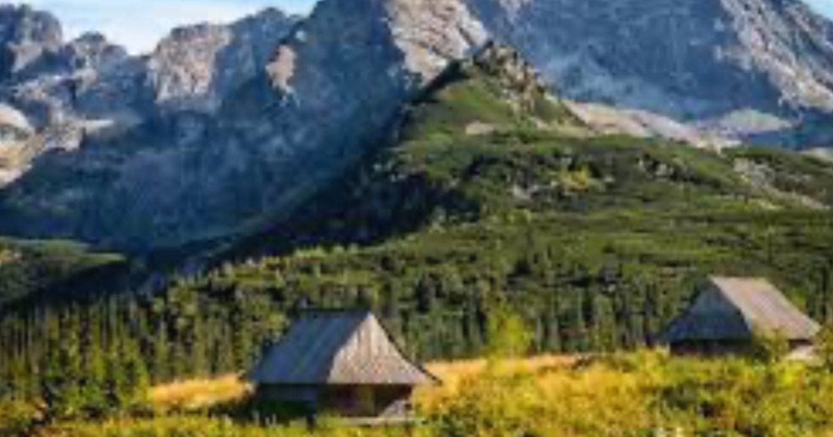 Number Order Up: Polish Numbers Quiz - By TexasTurtle7