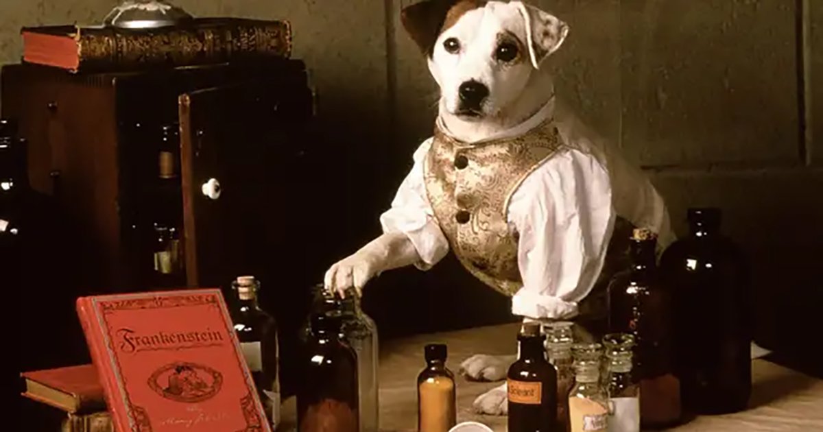 Wishbone Classic Characters Quiz - By nilking23