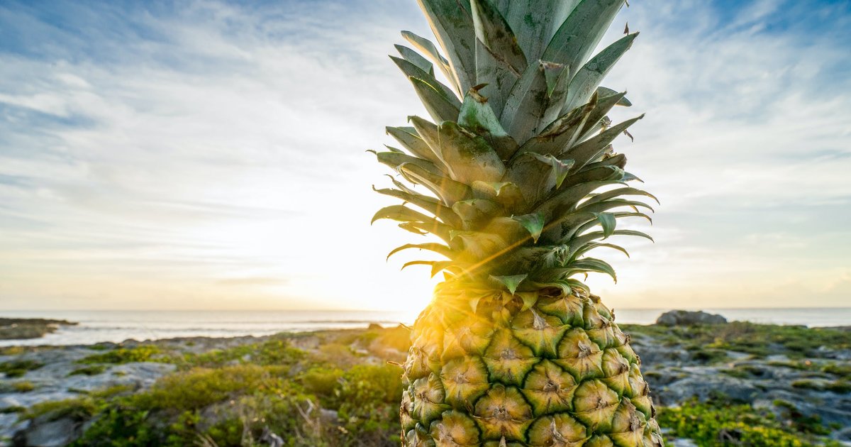 Pineapple in 30 Languages Quiz - By punaposkibulbuli