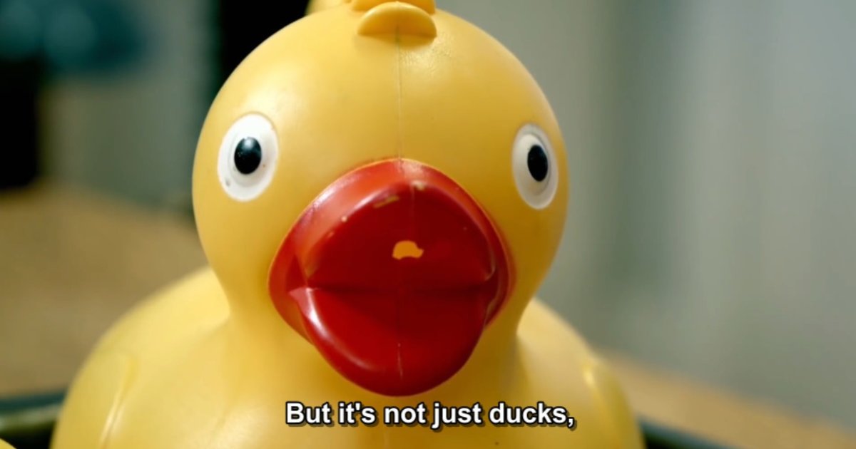 Taskmaster Logic Puzzle: Duck or Egg? Quiz - By jdg4349