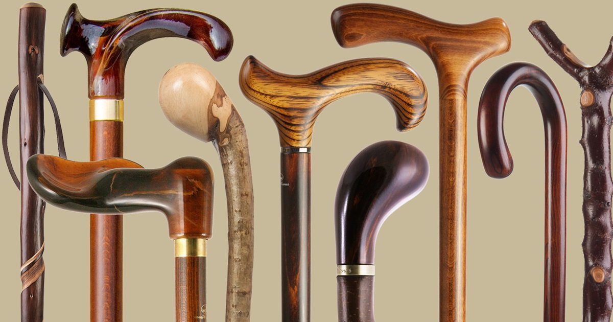 Find the Cane Animals Quiz - By alvir28