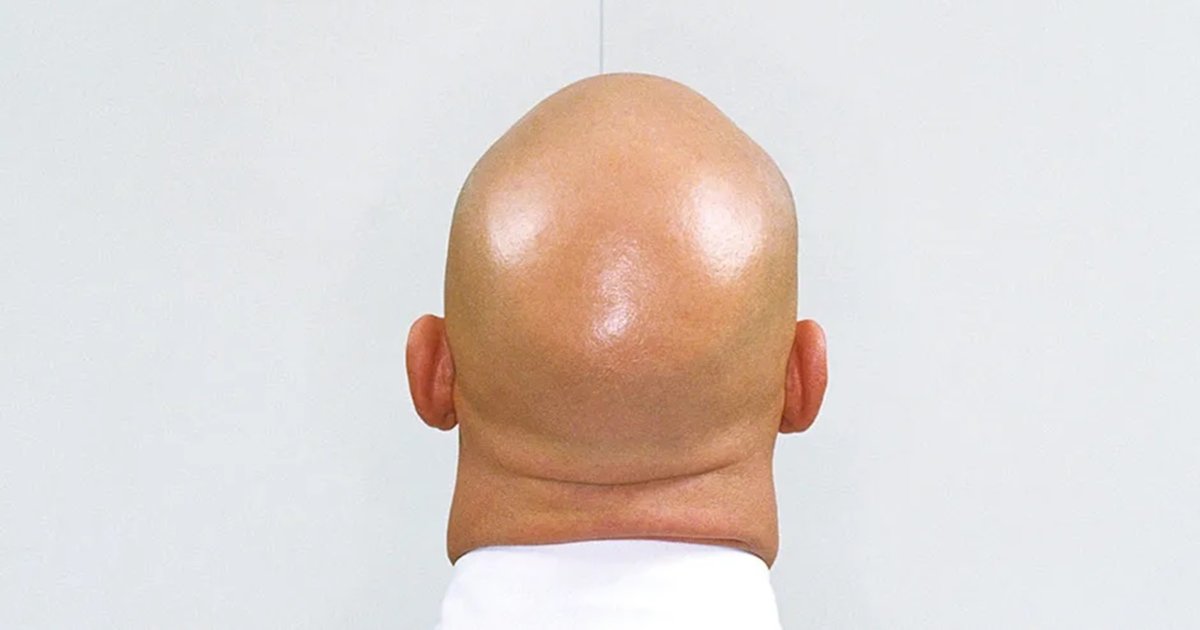 Find the Bald Animals Quiz