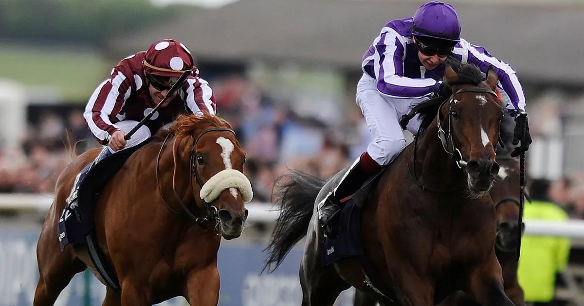 Miscellaneous sports feats: In Order Quiz - By chief7575