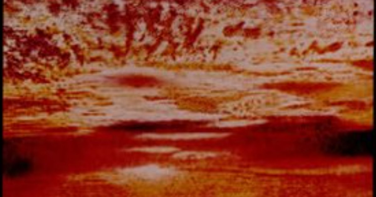 First 100 Words - Dirty Creature (Split Enz) Quiz - By joe_in_indy