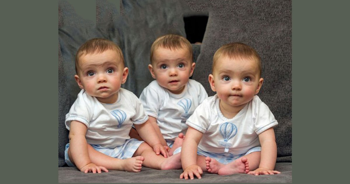 Word Unscramble: Triplets, 6 Letter Words, Animals Quiz - By DrDon000