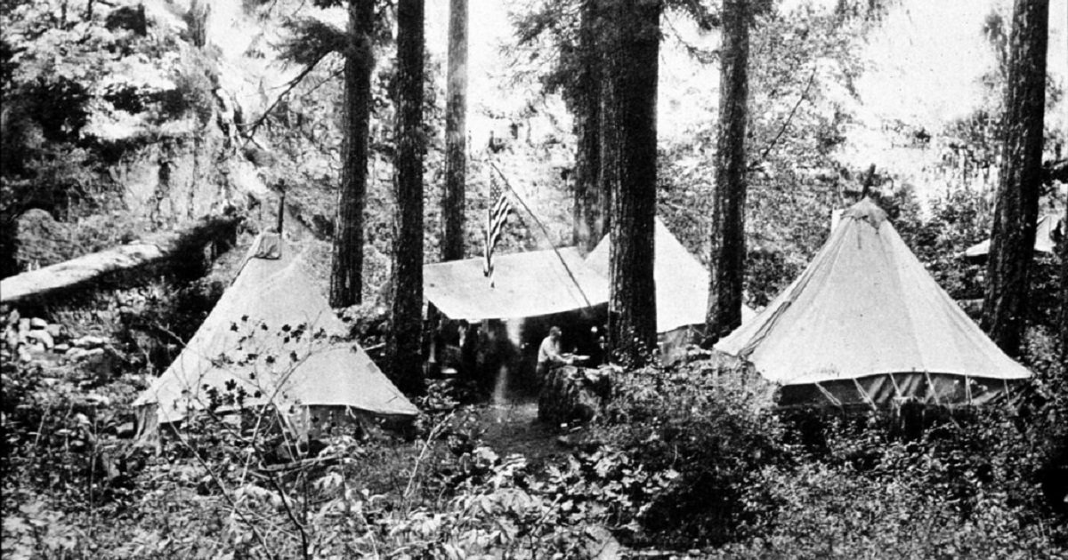 Tents and Trees Logic Puzzle #256 Quiz - By garolo