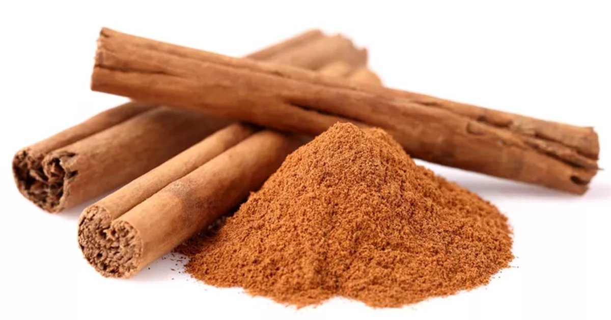 Find the Cinnamon Animals Quiz - By alvir28