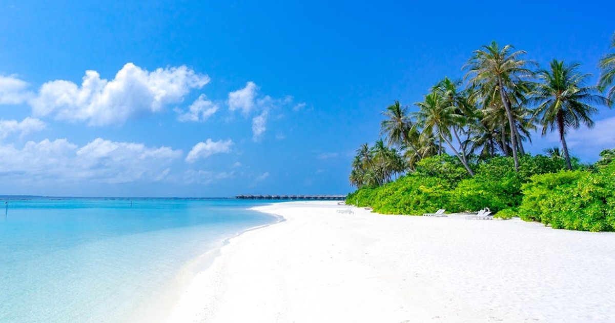 All About: SAMOA Quiz - By lightmyfire77