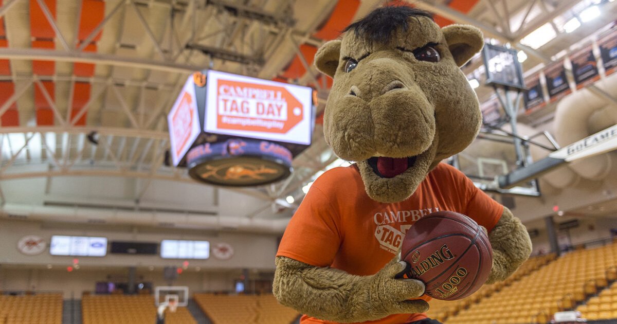 Campbell Fighting Camels Logo History Quiz - By mdesjardins