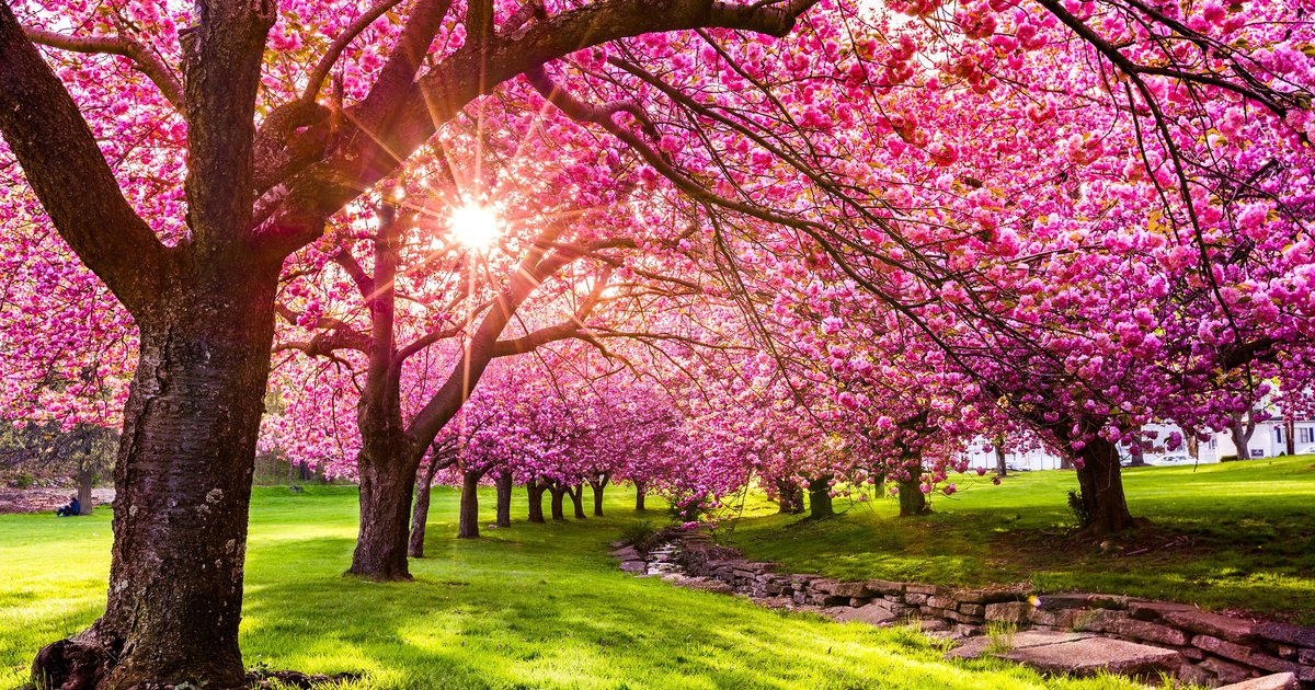 Most Common Spring Break Locations Quiz - By itsPercyLOL