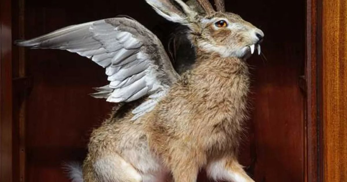 Order Up: Mythological Creature Math Quiz - By Michiel