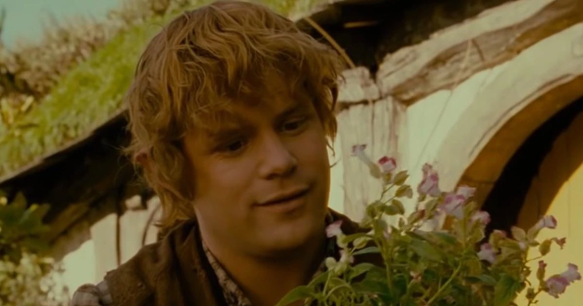 Anyone but Samwise Gamgee Quiz - By Brix