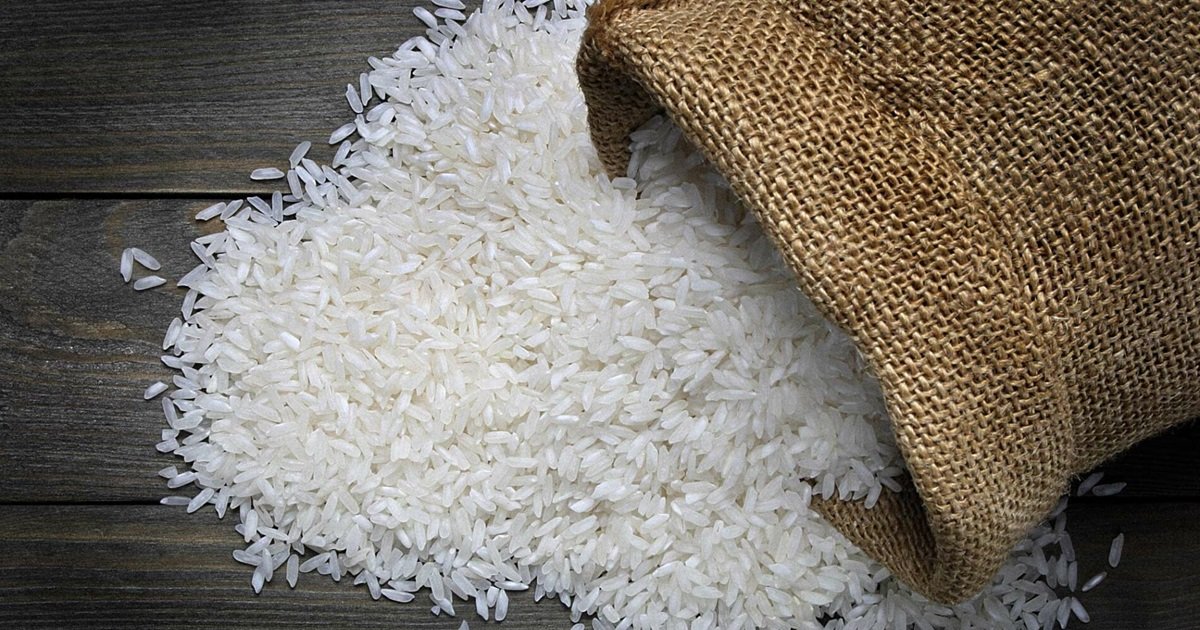 Find the Rice Animals Quiz - By alvir28