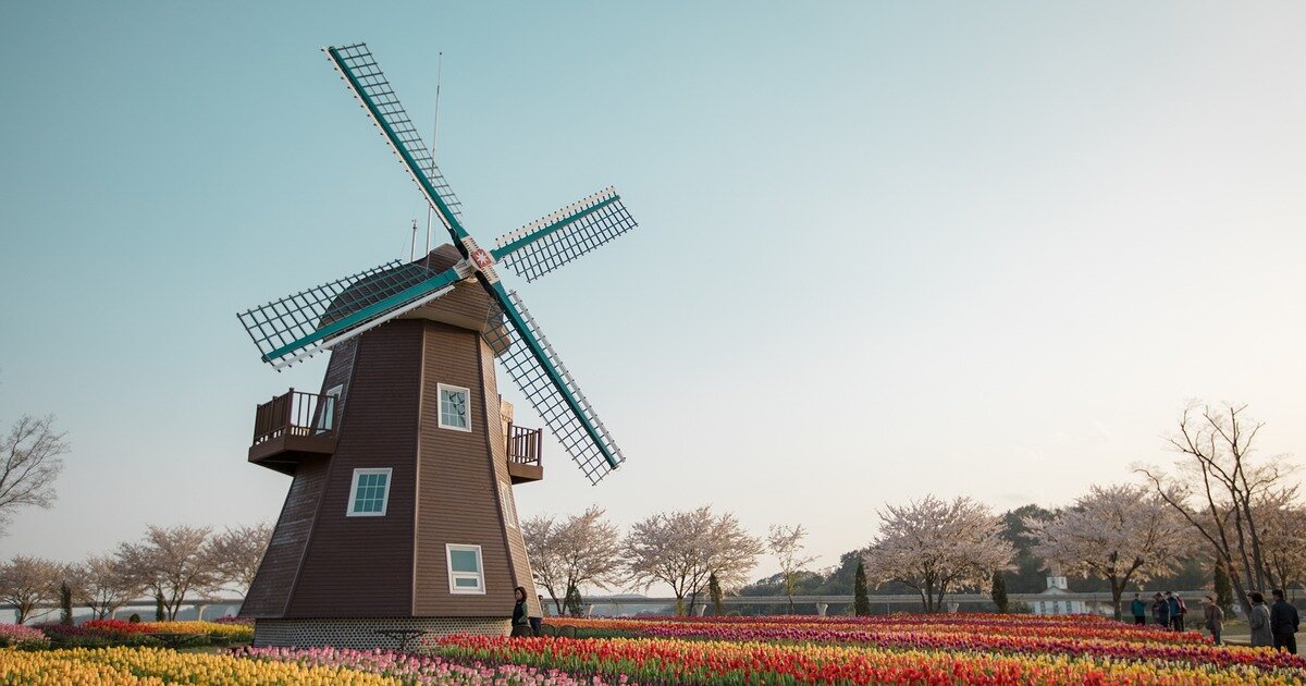 Windmill: Sitcoms Quiz