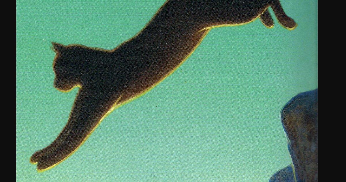 Warrior Cats All Combination-Pelted Cats Quiz - By spiderwing21