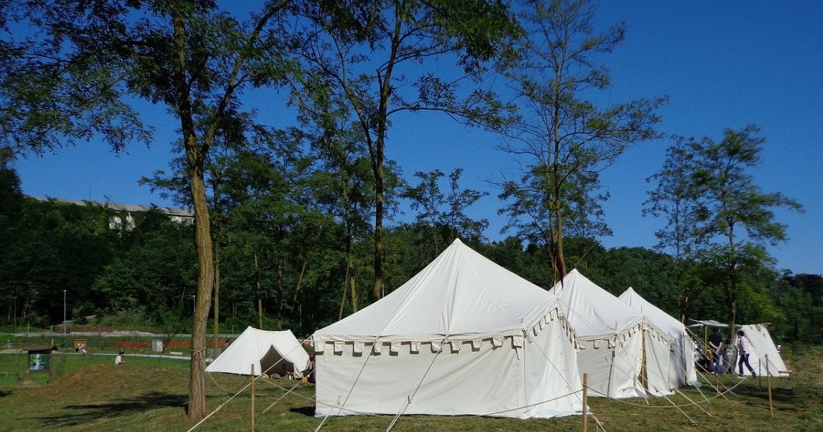 Tents and Trees Logic Puzzle #259 Quiz - By garolo