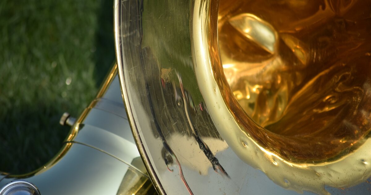 Instrument Families: Low Brass Quiz - By MirkwoodMirage