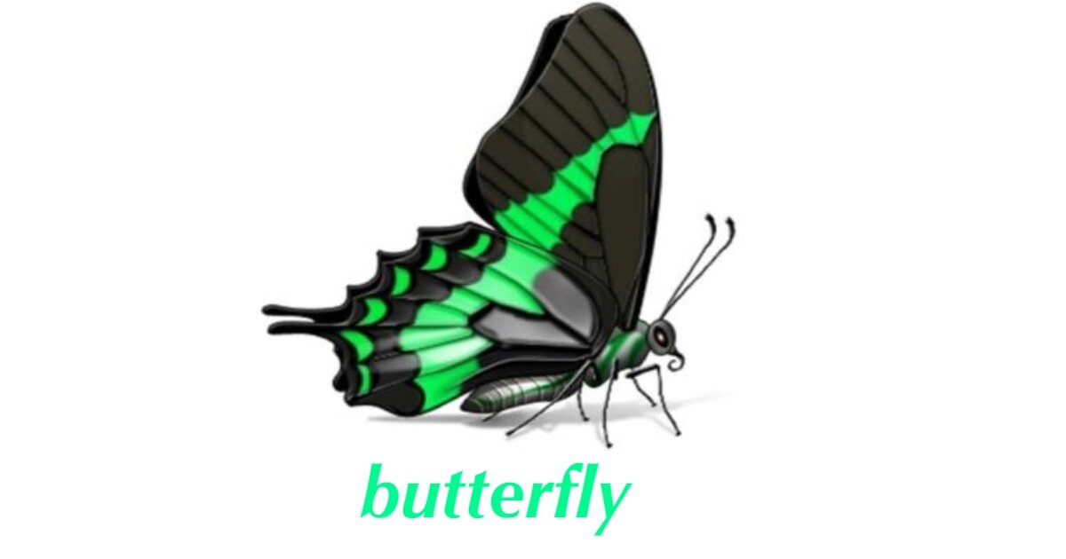 Languages by Word for Butterfly Quiz - By elroy