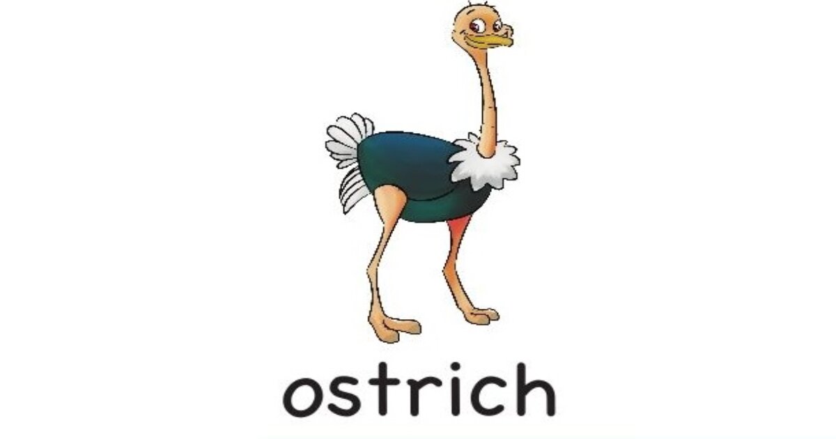 Languages by Word for Ostrich Quiz - By elroy