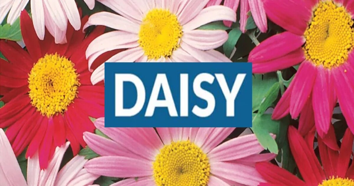 Languages by Word for Daisy Quiz - By elroy