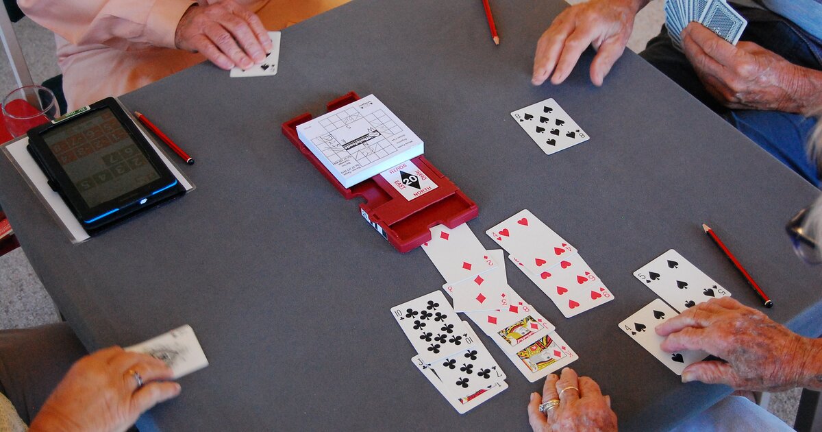 Label the Bridge Auction Quiz - By mamash_raplapla