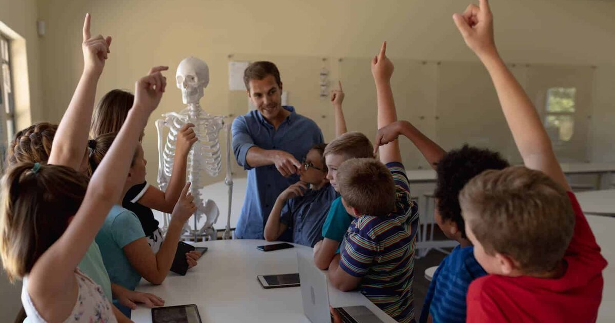 Teacher Necessities Blitz Quiz - By Moghscape