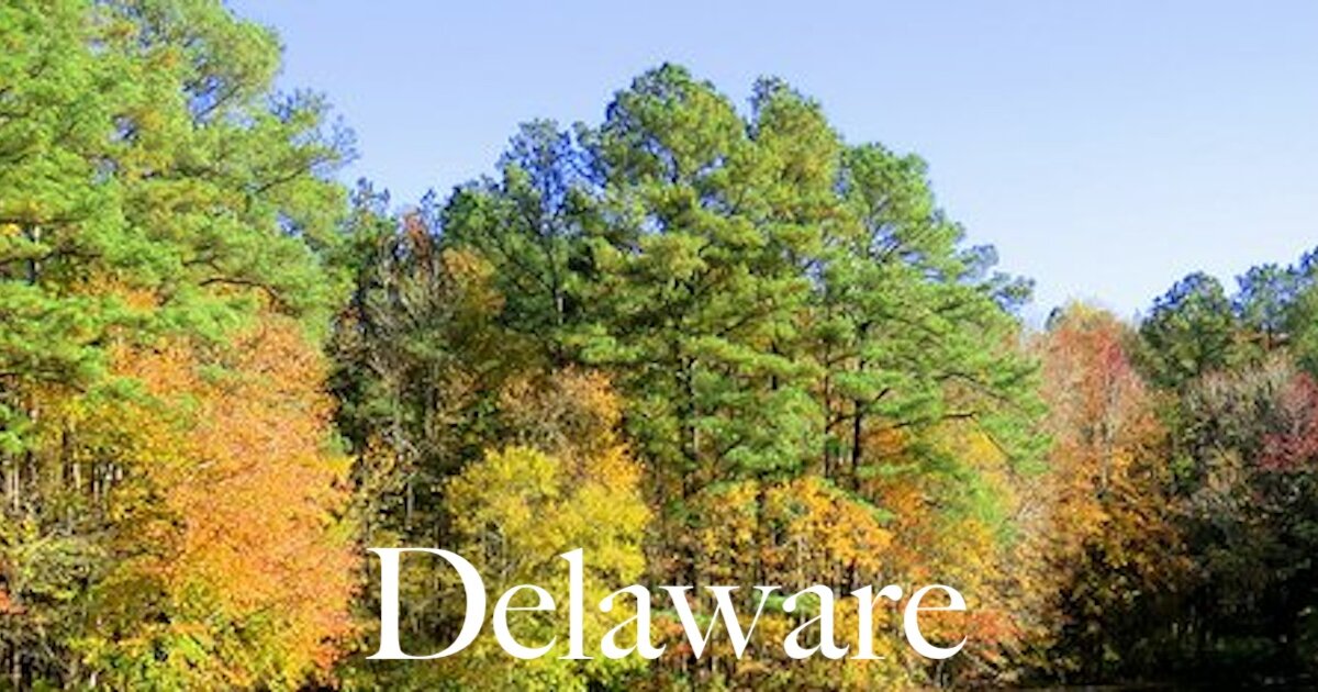 The Delaware Quiz - By elroy