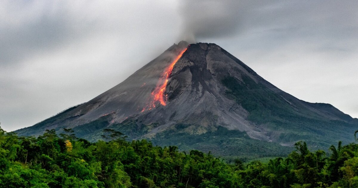 Find the Volcano Animals Quiz - By alvir28