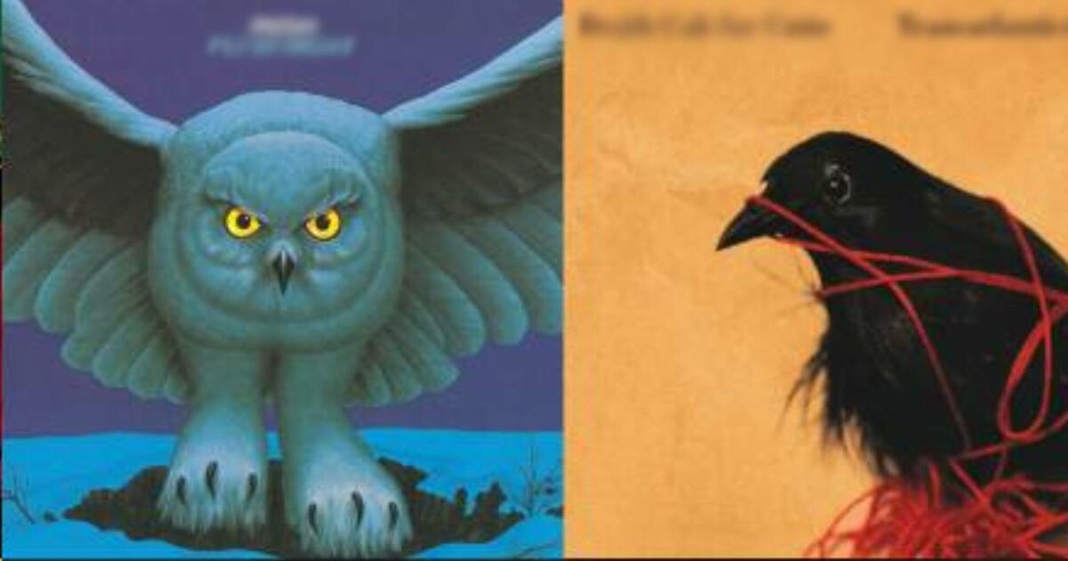 Birds on Album Covers Quiz - By Bernerner63