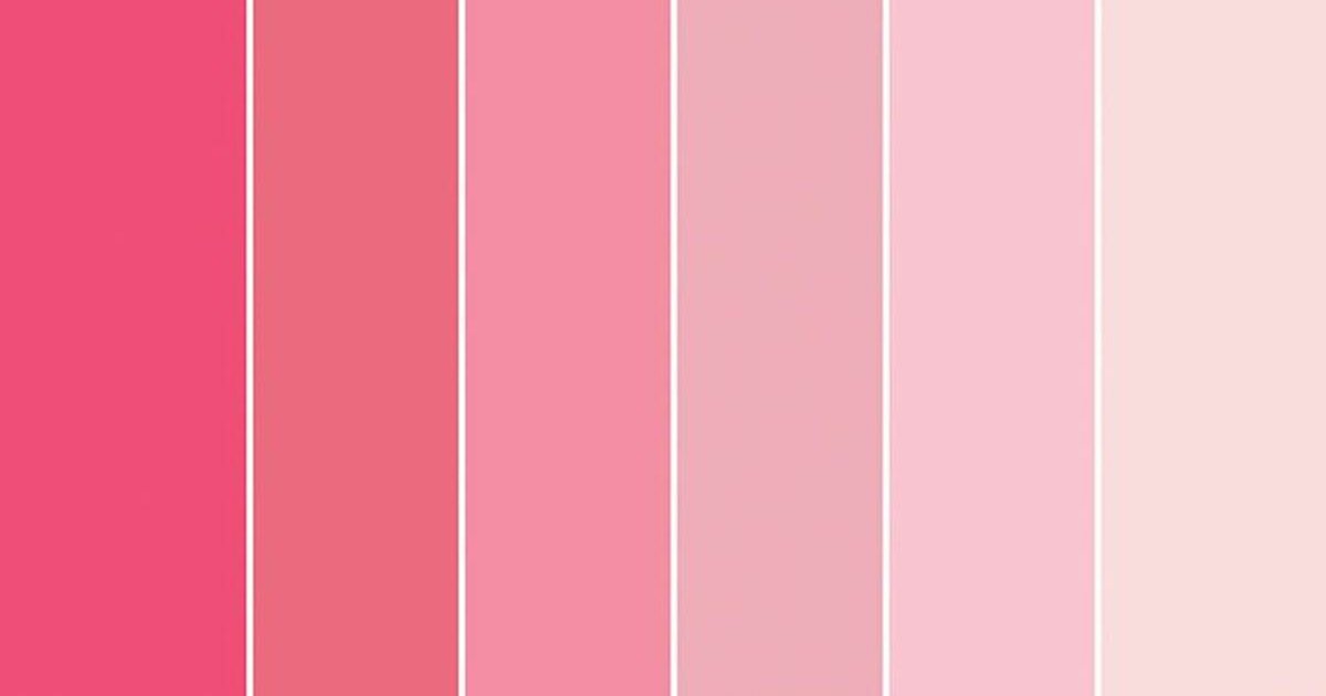 Shades Of Pink Word Search Quiz - By mdesjardins