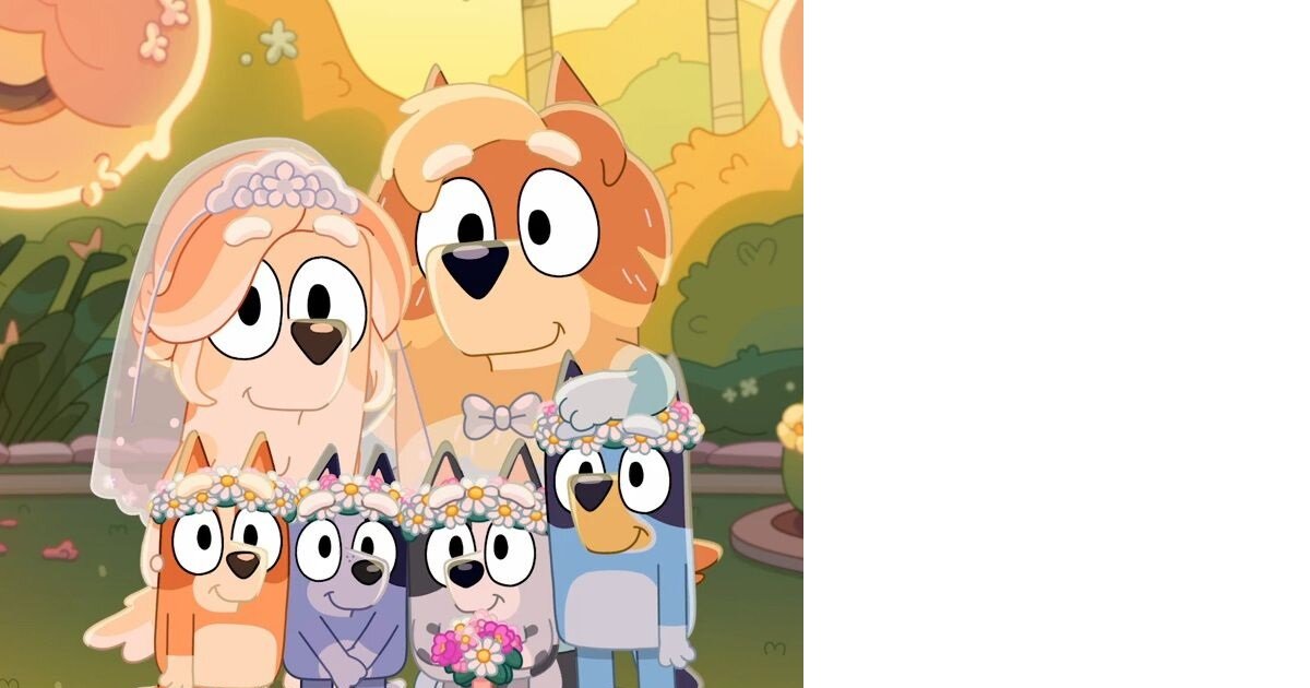 Bluey - Wedding Photo Groom's Family Quiz - By Narduc