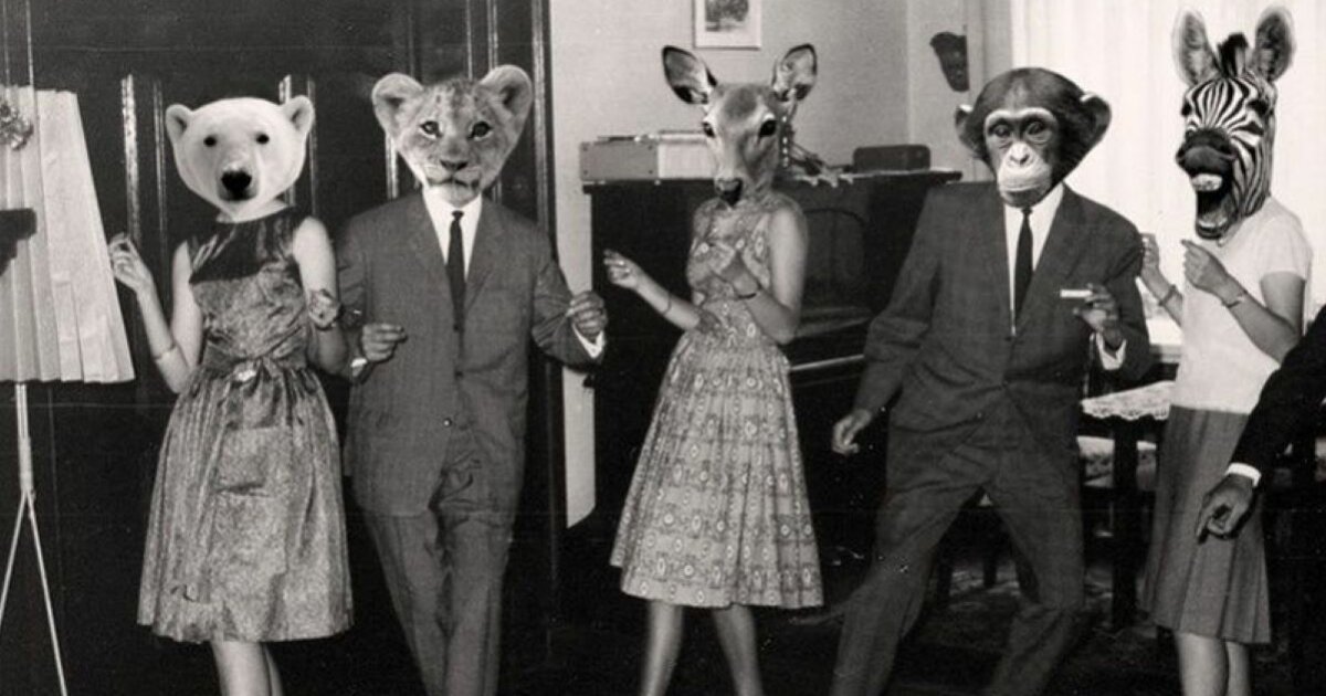 They're Animals! Quiz