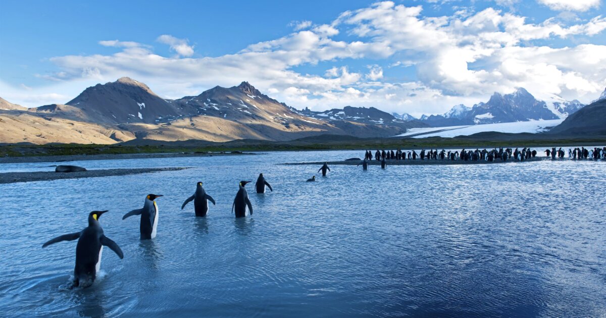 Quick Pick: Seas of the Southern Ocean Quiz - By BigGJohnsCreek