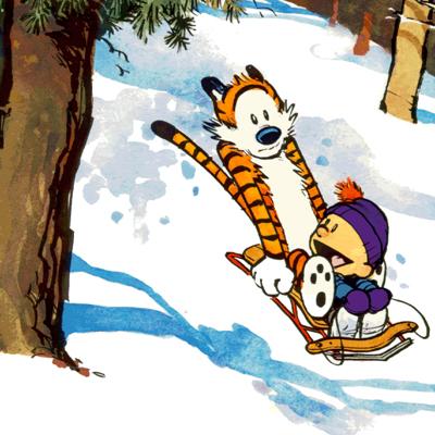 Calvin or Hobbes Quotes Quiz