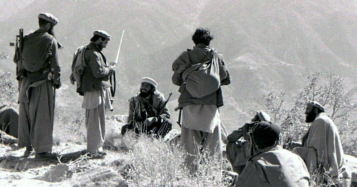 Sides in the Soviet-Afghan War Quiz - By bdhayes