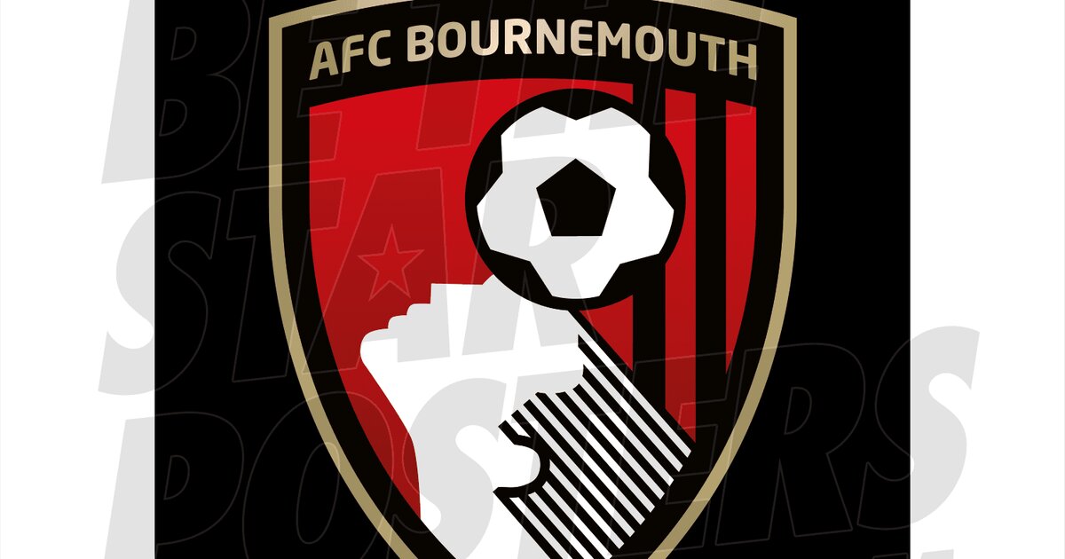 All AFC Bournemouth transfer signings over £3M Quiz - By Guilty_Pleasures