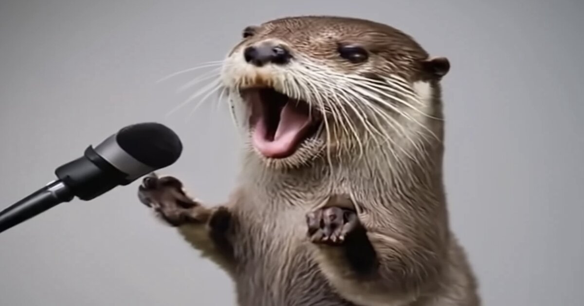 'Almost' Animals in Song Titles Quiz - By BBoy77