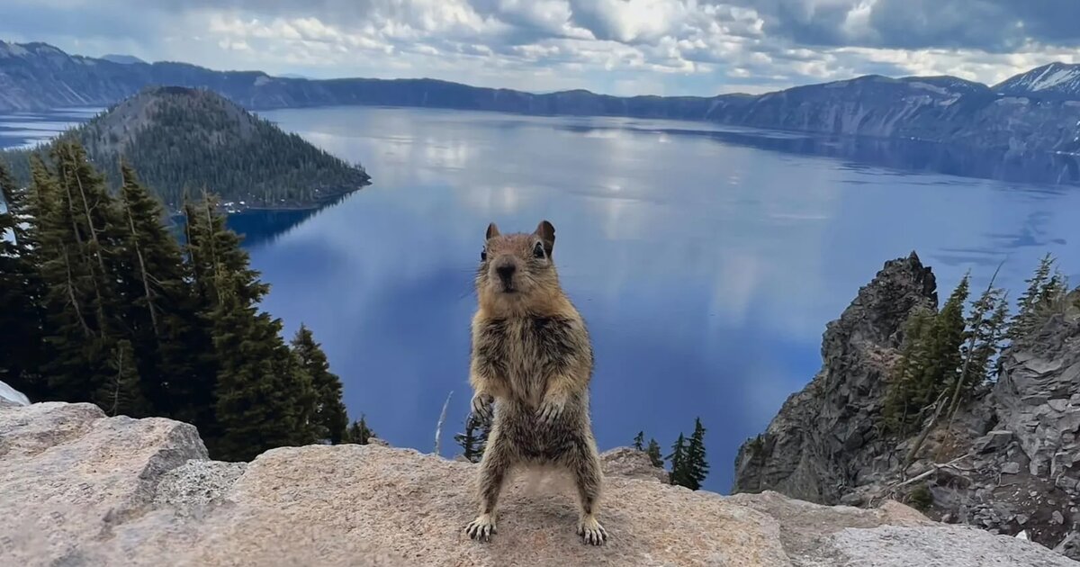 Crater Lake Animals Quiz - By Perspektive