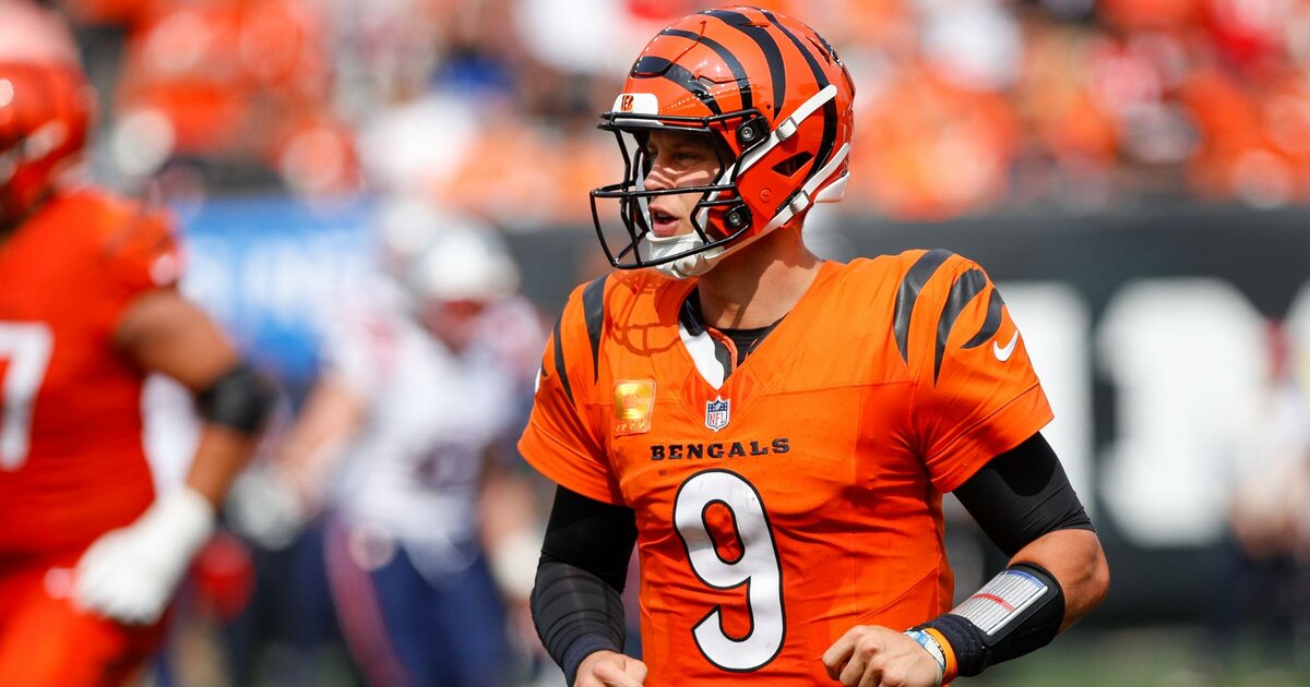 2024-25 Cincinnati Bengals Lineup Quiz - By GroovyMike